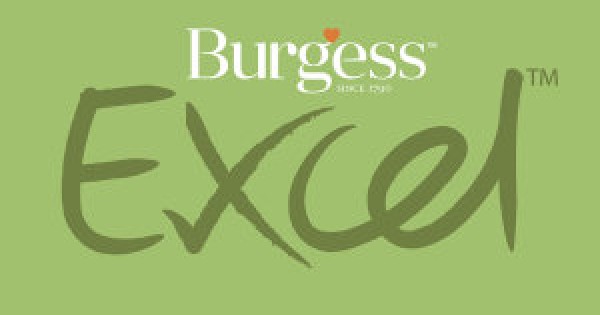 Burgess Excel