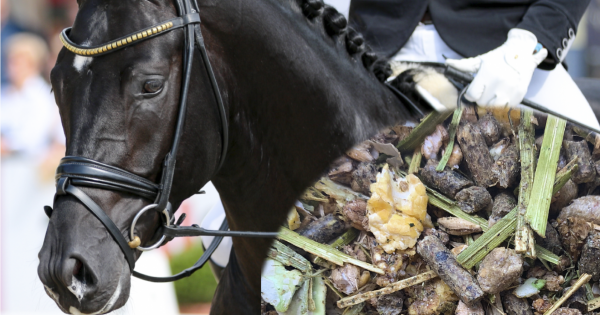 Horsepro Cool Focus, 20 kg